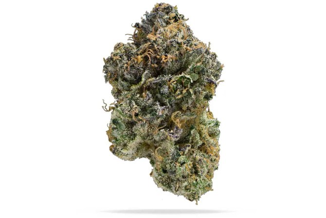 Permanent Marker – BUGBLAST