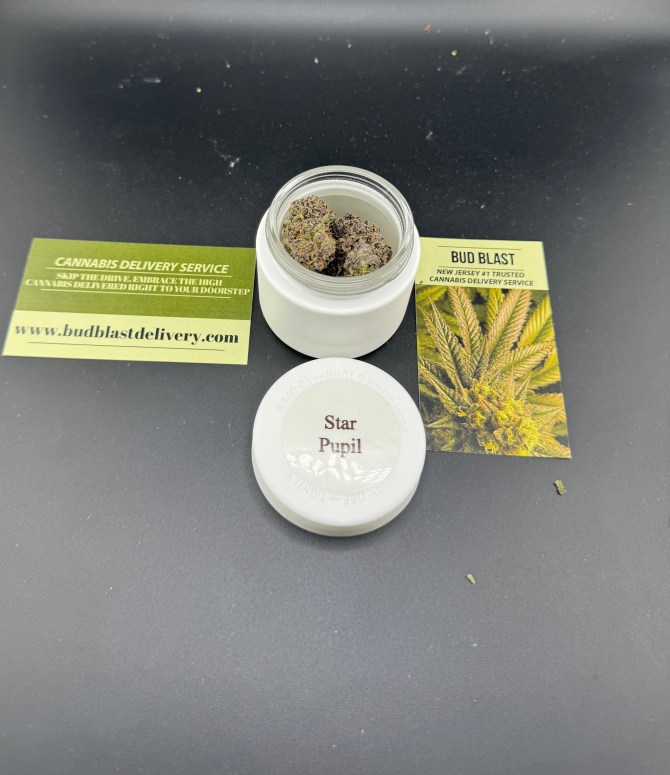 Star Pupil – BUGBLAST